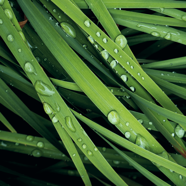 Home - Earth Science